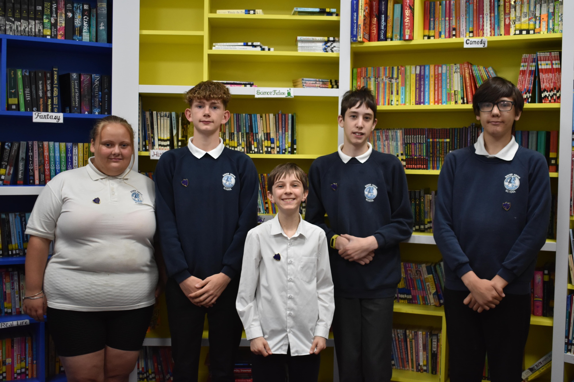 Bower Grove School - Library